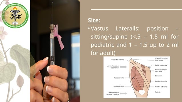 Intramuscular Injection Powerpoint presentation | PPTX | Pharmaceutical Drugs | Medical Health