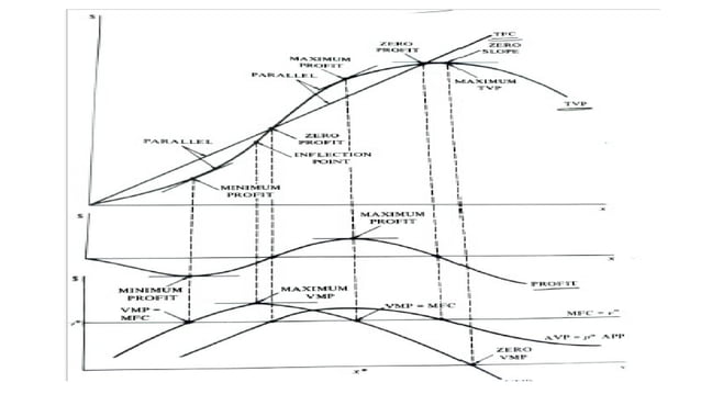 3. PROFIT MAXIMISATION WITH ONE INPUT AND.pptx