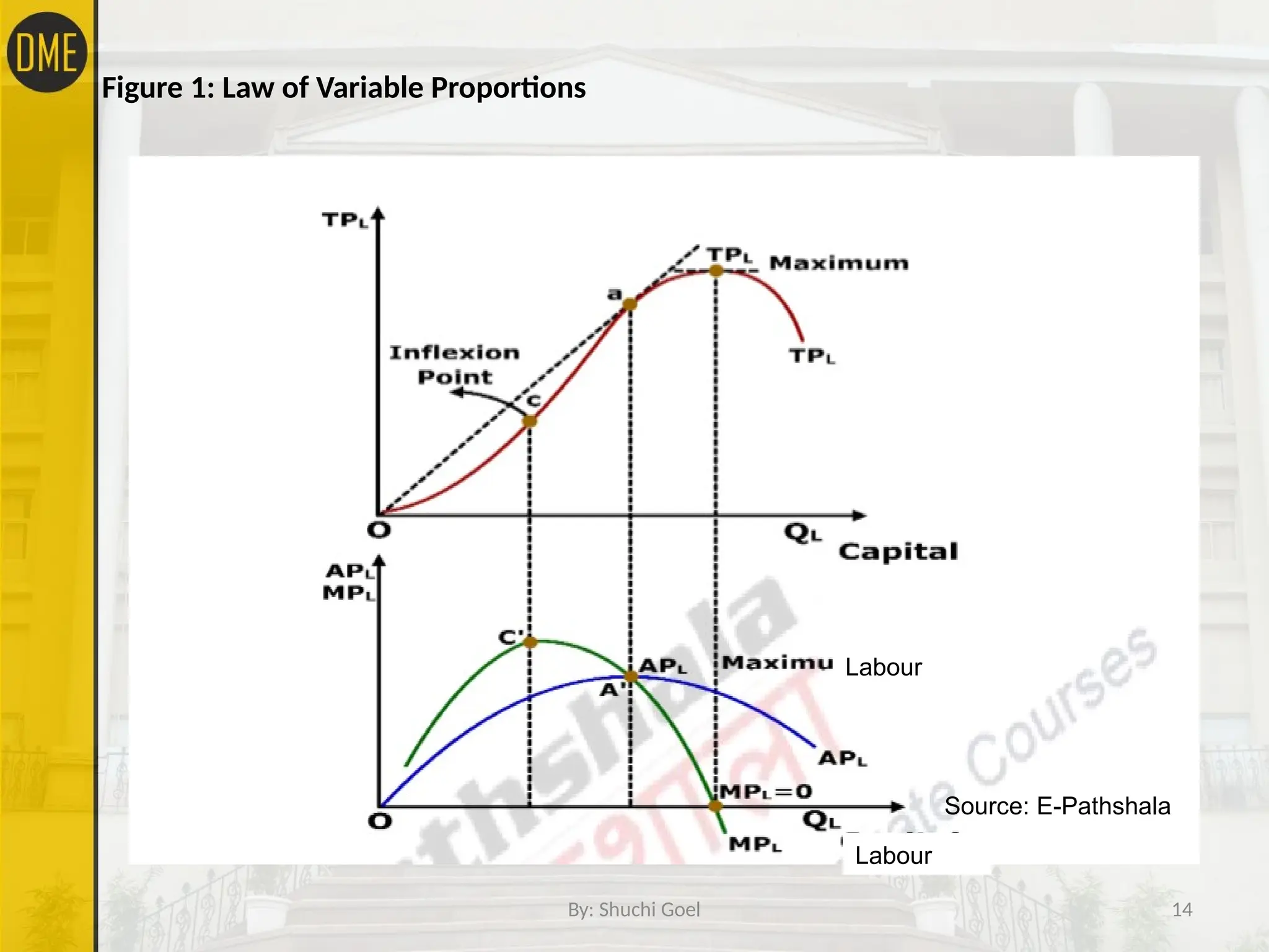 3.4.pptx-LAW OF VARIABLE PROPORTION (SHORT RUN PRODUCTION ANALYSIS) | PPTX