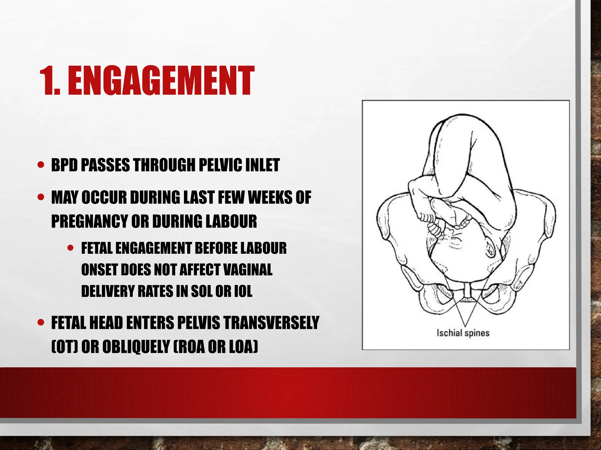 7 CARDINAL MOVEMENTS OF LABOUR.pptx Obgy | PPTX