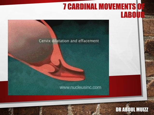 7 CARDINAL MOVEMENTS OF LABOUR.pptx Obgy | PPTX