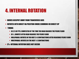 7 CARDINAL MOVEMENTS OF LABOUR.pptx Obgy | PPTX