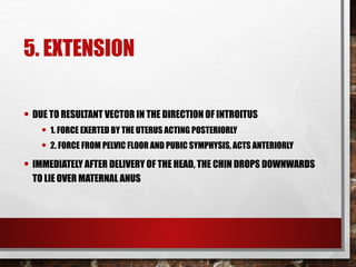 7 CARDINAL MOVEMENTS OF LABOUR.pptx Obgy | PPTX