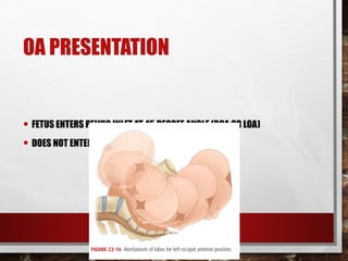 7 CARDINAL MOVEMENTS OF LABOUR.pptx Obgy | PPTX