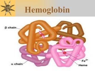 3.hemoglobin PRESENTATION POWER POINT PPT | PPTX