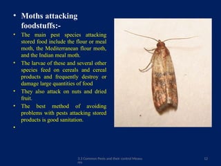 3.3 Common Pests and their control measures.pptx