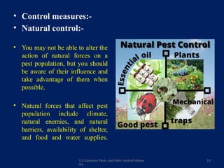 3.3 Common Pests and their control measures.pptx