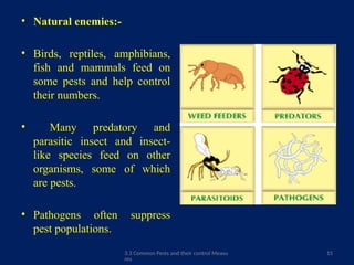 3.3 Common Pests and their control measures.pptx