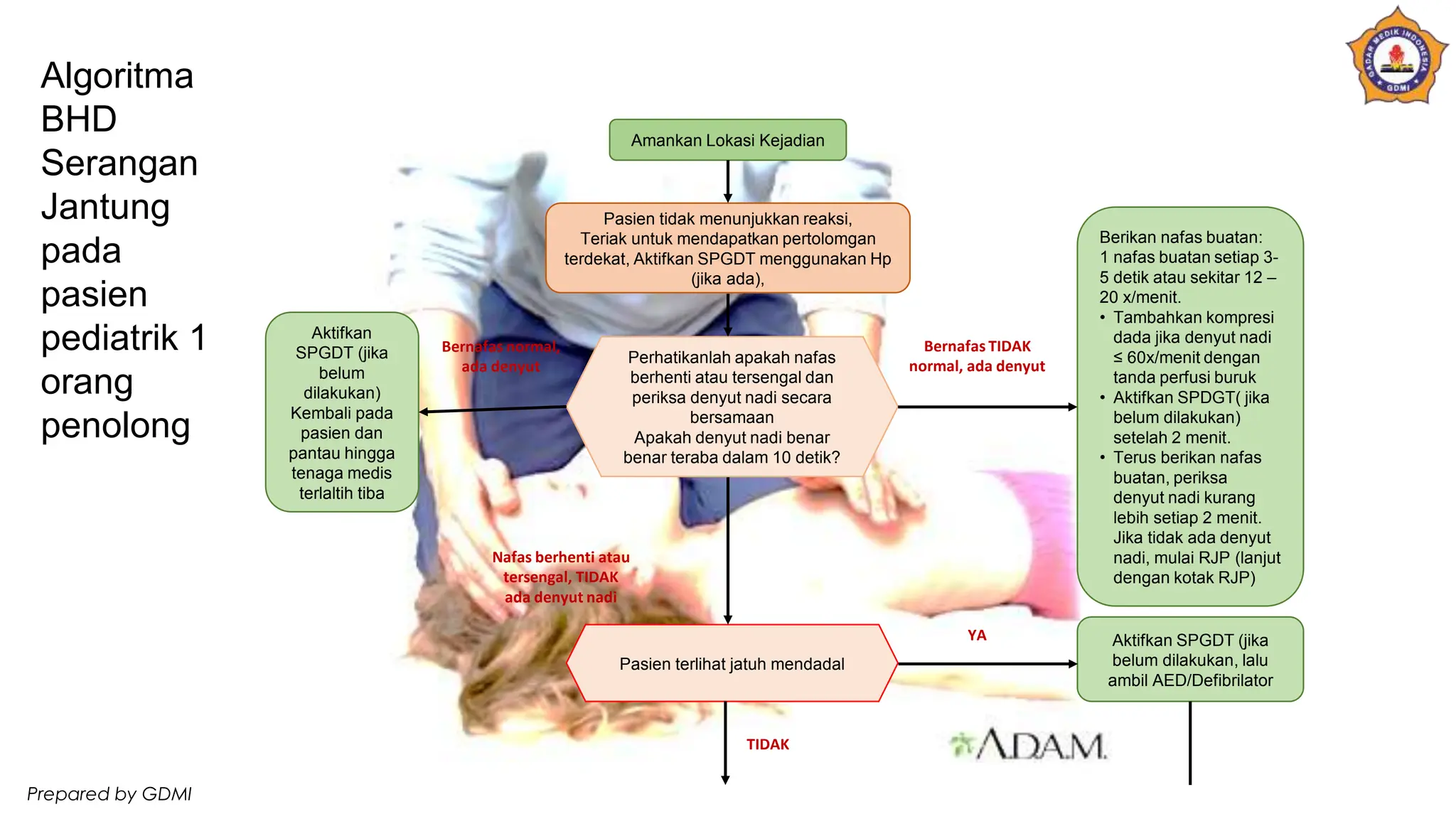 BANTUAN HIDUP DASAR (bantuan hidup dasar) | PDF