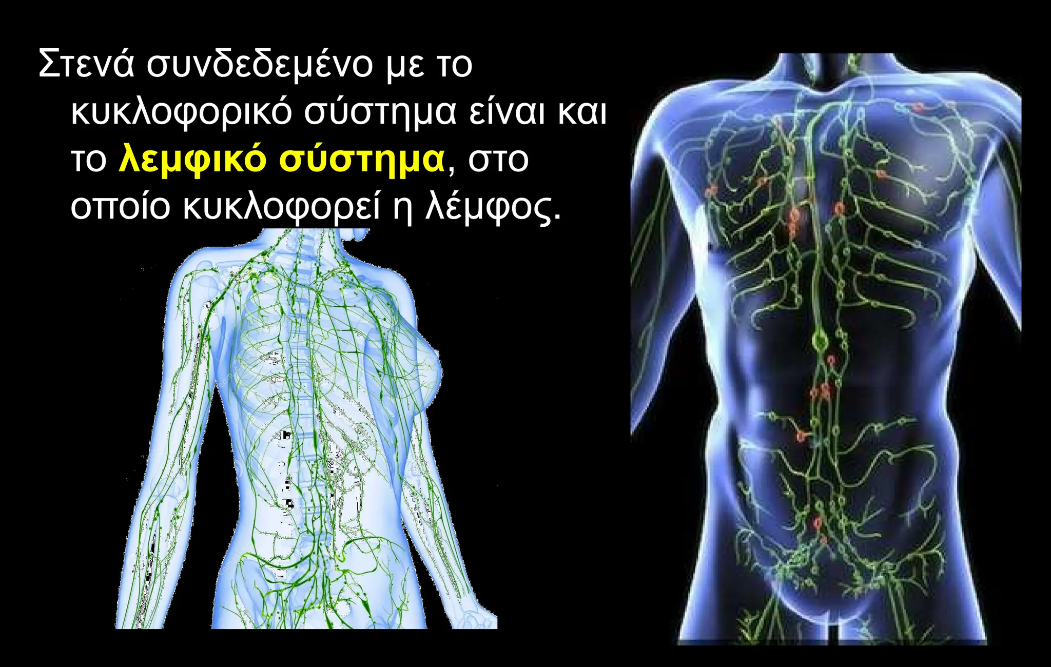 3.KYKLOFORIKO_SYSTHMA_KARDIA.,μικρή κυκλοφορία | PPTX