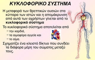 3.KYKLOFORIKO_SYSTHMA_KARDIA.,μικρή κυκλοφορία | PPTX