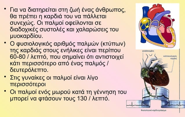 3.KYKLOFORIKO_SYSTHMA_KARDIA.,μικρή κυκλοφορία | PPTX