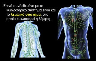 3.KYKLOFORIKO_SYSTHMA_KARDIA.,μικρή κυκλοφορία | PPTX