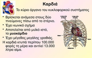 3.KYKLOFORIKO_SYSTHMA_KARDIA.,μικρή κυκλοφορία | PPTX