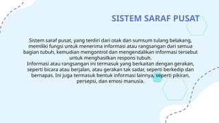 Sistem Otot dan Sistem Saraf pada tubuh manusia. | PPTX