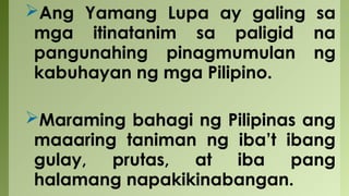 3. AP4 W-2 YAMANG LUPA.pptx for grade 5 | PPT