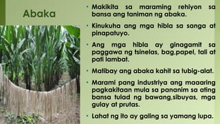 3. AP4 W-2 YAMANG LUPA.pptx for grade 5 | PPT