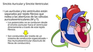 3. Fisiología Cardíaca - Potencial de Acción.pptx