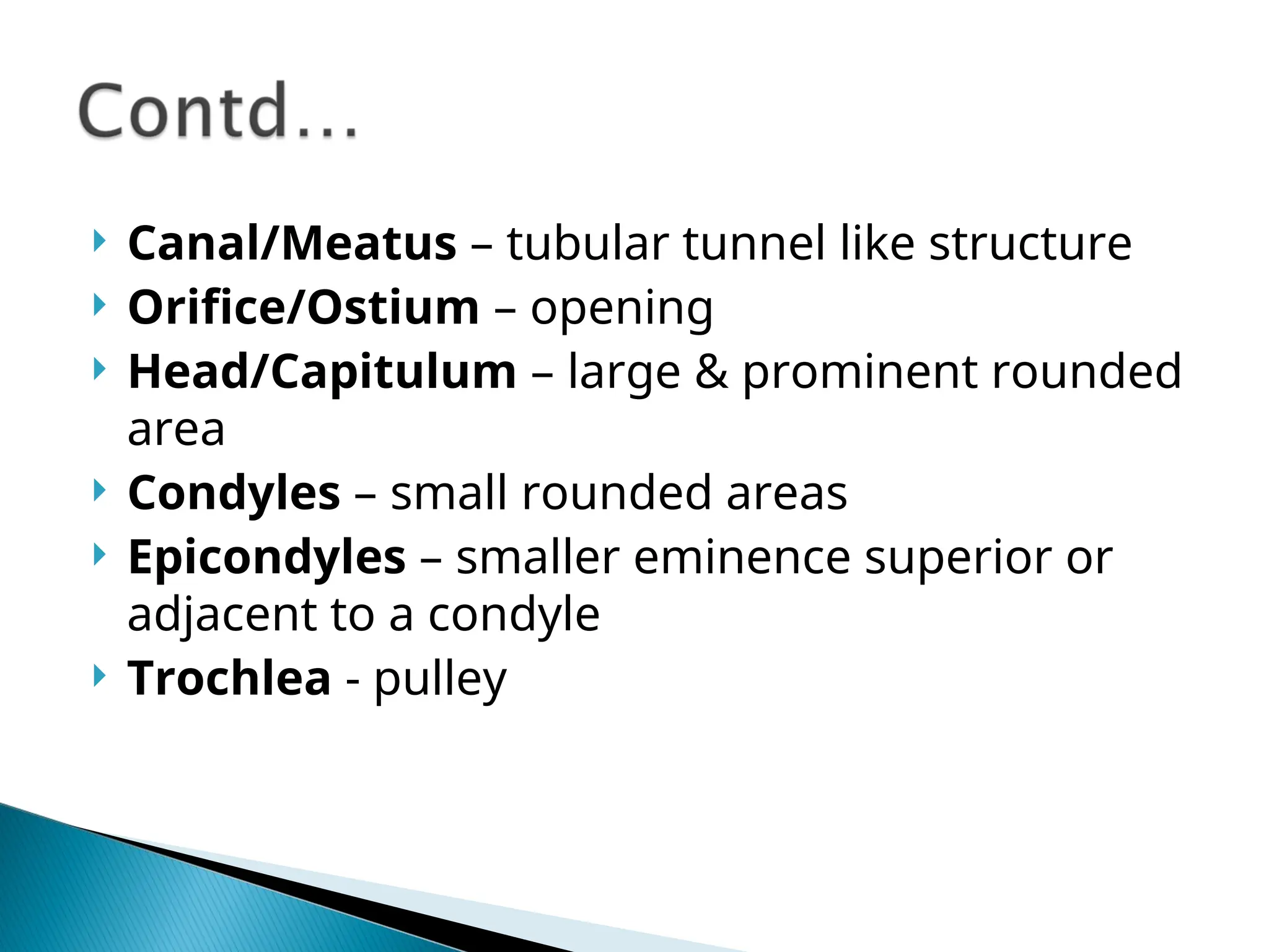 GENERAL ANATOMY OF SKELETAL SYSTEM AND MUSCLES | PPT