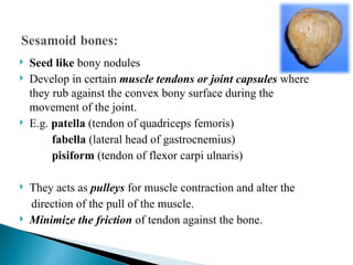 GENERAL ANATOMY OF SKELETAL SYSTEM AND MUSCLES | PPT