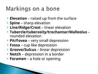 GENERAL ANATOMY OF SKELETAL SYSTEM AND MUSCLES | PPT