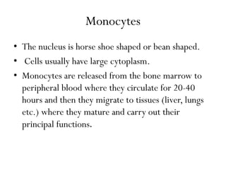 Granulopoiesis hematology medicine and anemia | PDF
