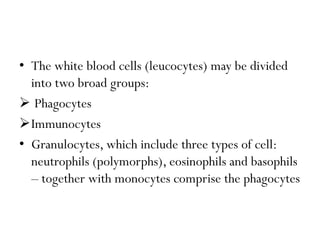 Granulopoiesis hematology medicine and anemia | PDF