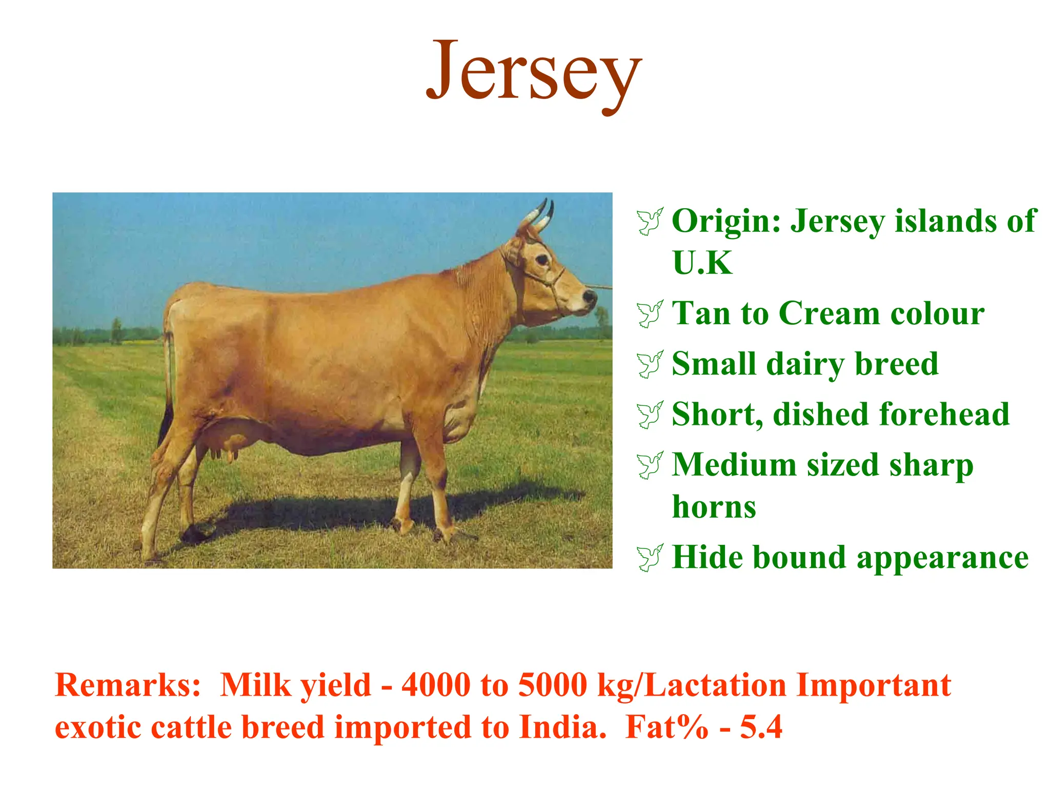 Cattle Breeds dual purpose, draught, milch | PDF