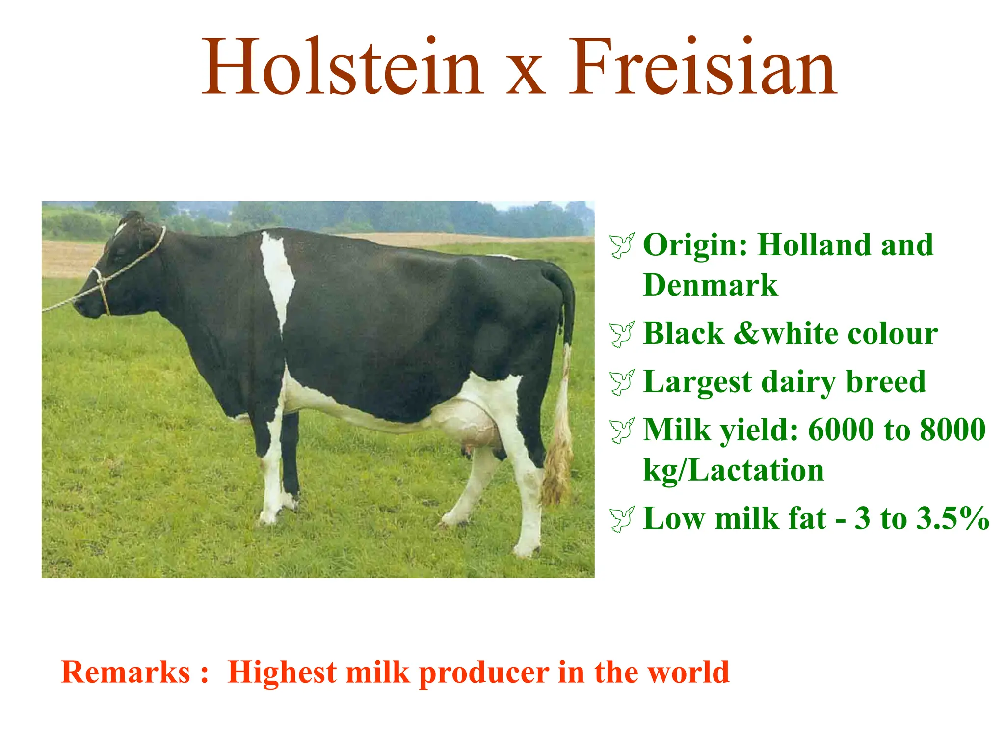 Cattle Breeds dual purpose, draught, milch | PDF