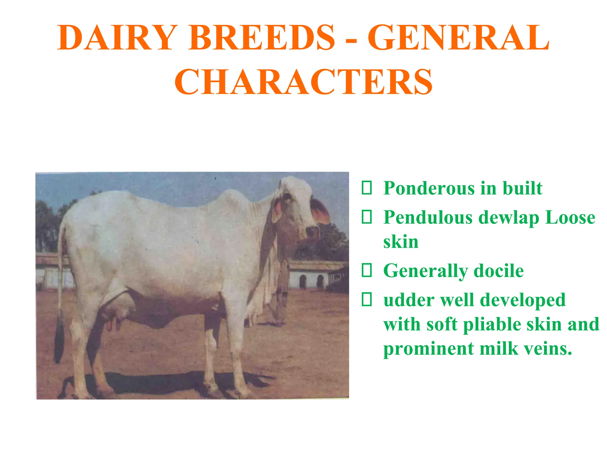 Cattle Breeds dual purpose, draught, milch | PDF
