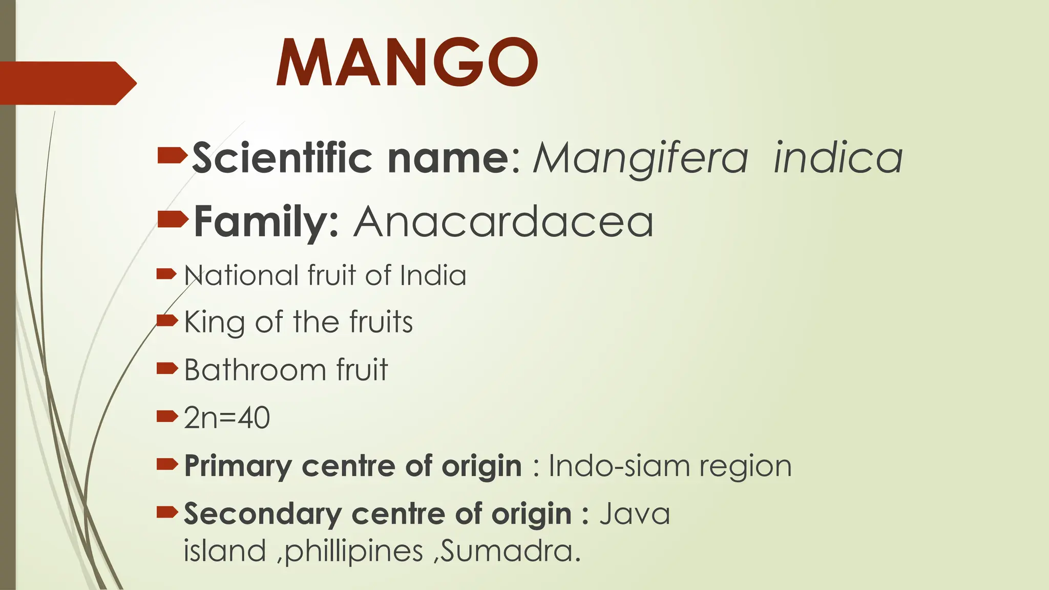 Cultivation of mango Mangifera indica..... | PPTX