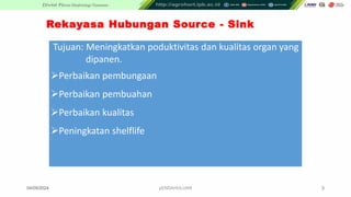 3. Rekayasa Source dan Sink pertanian.pdf