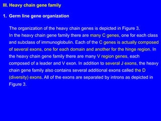 3.2. Genetics of Ig.pptx Di truyền của Ig.pptx