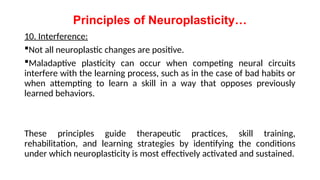 3. Neuroplasticity_Physiotherapy BPT.ppt