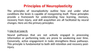3. Neuroplasticity_BPT Lectures Notes.ppt