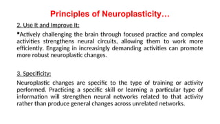 3. Neuroplasticity_BPT Lectures Notes.ppt | Physical Therapy | Wellness