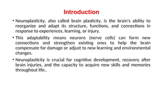 3. Neuroplasticity_BPT Lectures Notes.ppt | Physical Therapy | Wellness