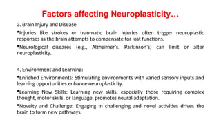 3. Neuroplasticity_BPT Lectures Notes.ppt | Physical Therapy | Wellness