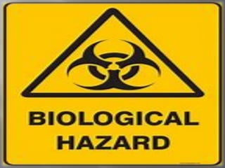 biohazards introduction types and occupational hazards | PPTX