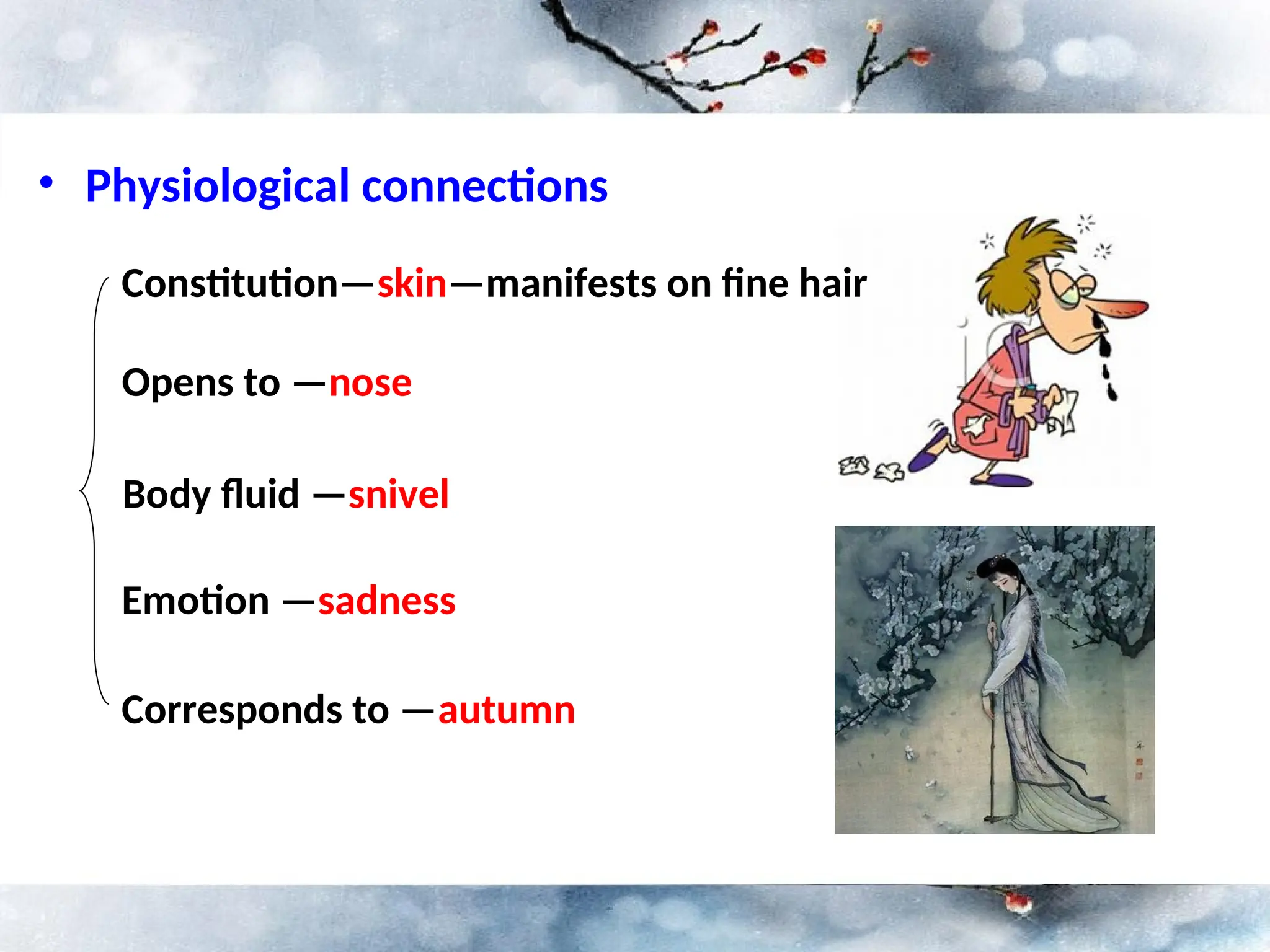 Five zang organs Traditional Chinese Medicine.ppt