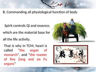 Five zang organs Traditional Chinese Medicine.ppt