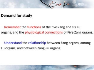 Five zang organs Traditional Chinese Medicine.ppt