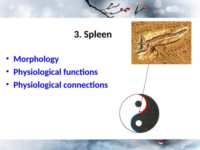 Five zang organs Traditional Chinese Medicine.ppt