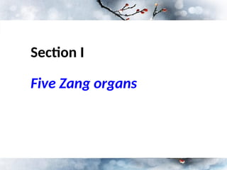 Five zang organs Traditional Chinese Medicine.ppt