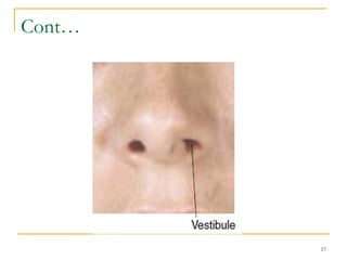 HEENT AND LYMPHOGLANDULAR SYSTEM physical examination and history | PPTX