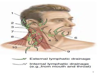 HEENT AND LYMPHOGLANDULAR SYSTEM physical examination and history | PPTX