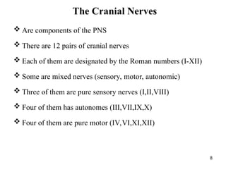 3. Automomes Nerves System pdf (2).ppt