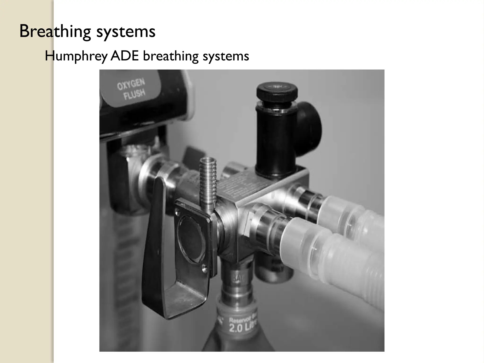 3.different types of breathing system pptx | PPT