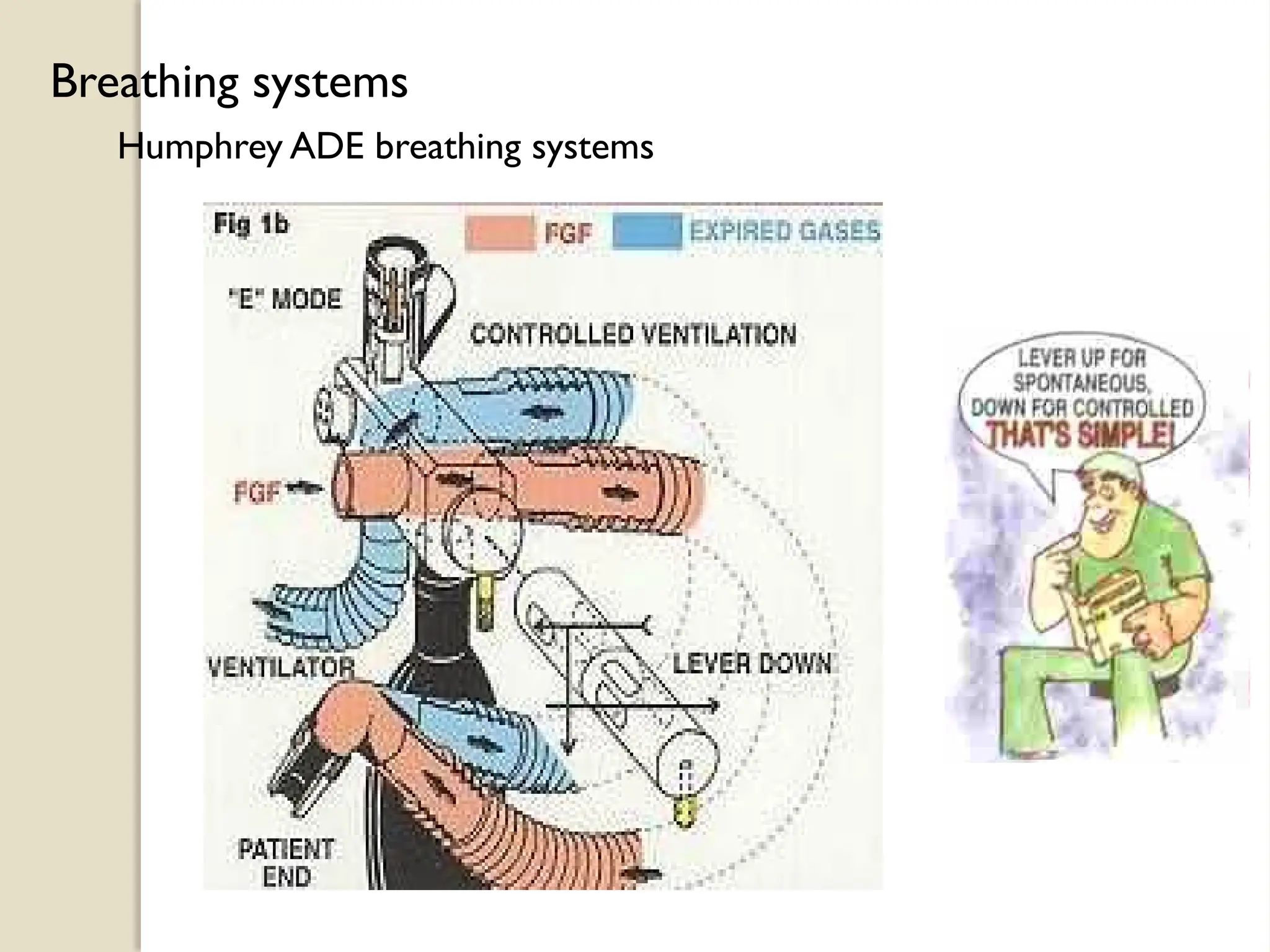 3.different types of breathing system pptx | PPT