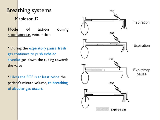 3.different types of breathing system pptx | PPT
